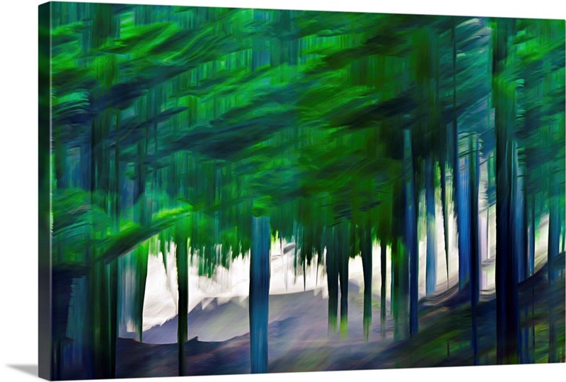 Cedars In Summer | Great Big Canvas