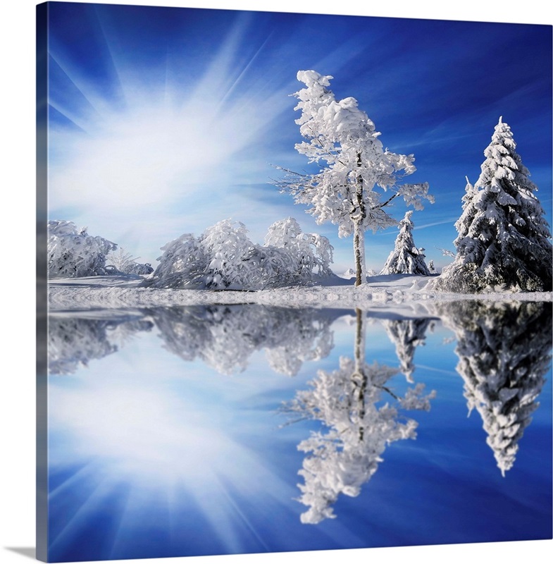 Cold Light | Great Big Canvas