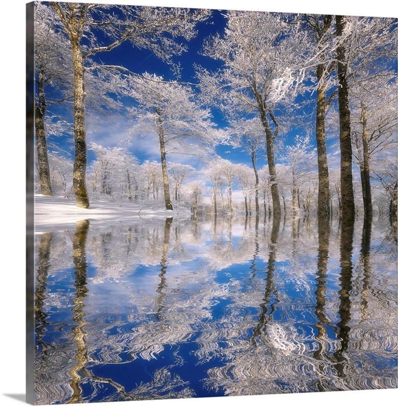 Dream In Blue | Great Big Canvas