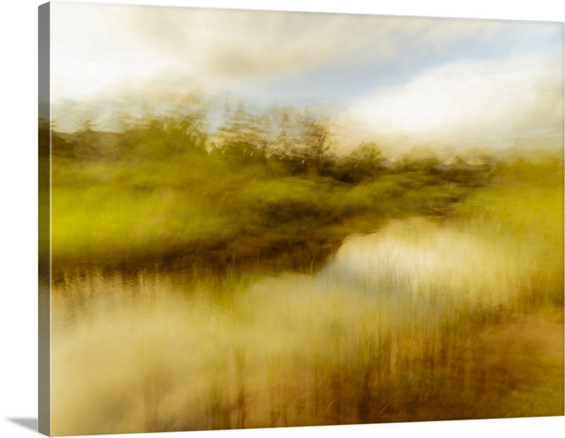 Dreamy Marsh 5 | Great Big Canvas