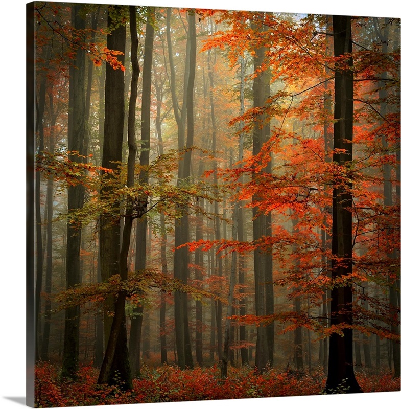 Fall | Great Big Canvas