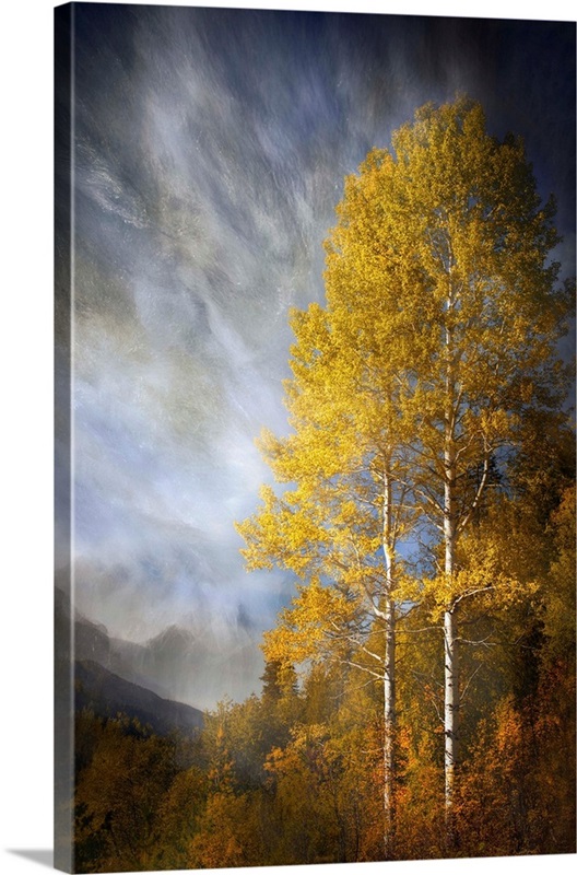 Fall Fantasy II | Great Big Canvas