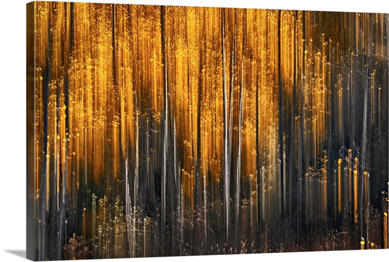 Falling Stars | Great Big Canvas