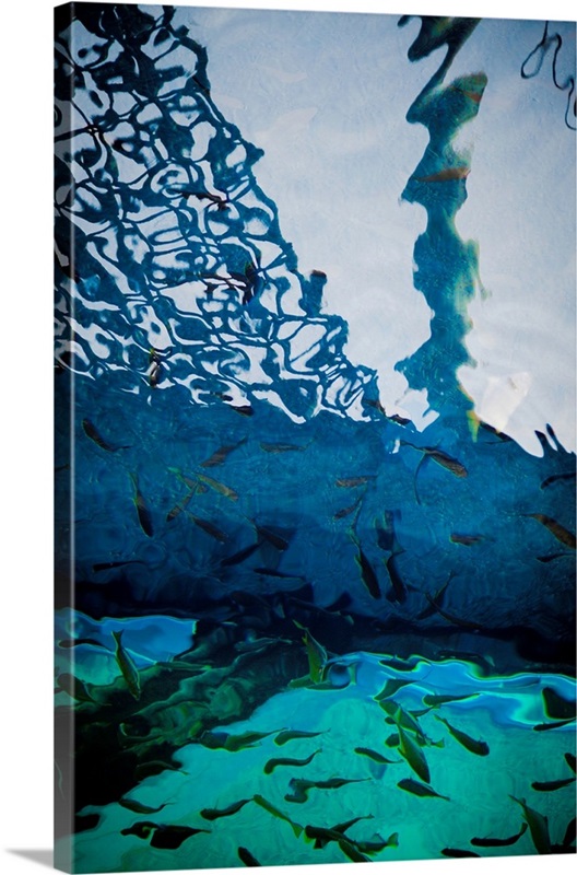 Fathoms Below Wall Art, Canvas Prints, Framed Prints, Wall Peels ...