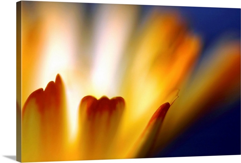 Fire | Great Big Canvas