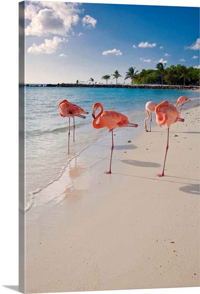 Florida Sun Wall Art, Canvas Prints, Framed Prints, Wall Peels | Great ...