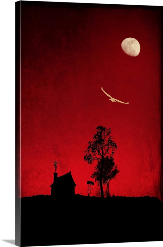 Fly High | Great Big Canvas