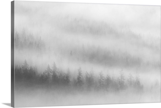 Fog Wall Art, Canvas Prints, Framed Prints, Wall Peels | Great Big Canvas