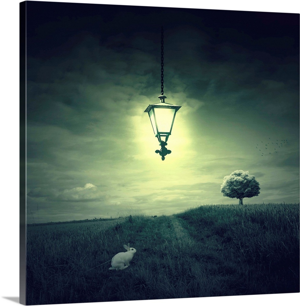 Follow the White Rabbit Wall Art, Canvas Prints, Framed Prints, Wall ...