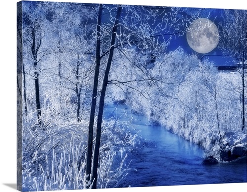 Full Moon Wall Art, Canvas Prints, Framed Prints, Wall Peels | Great ...