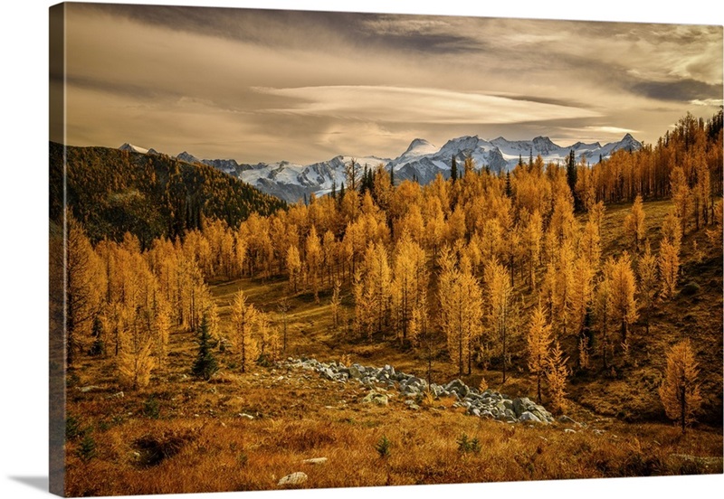 Glorious Evening | Great Big Canvas