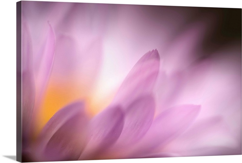 Inside | Great Big Canvas