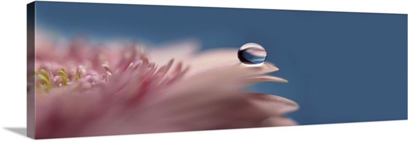 Just Drop Me Here | Great Big Canvas