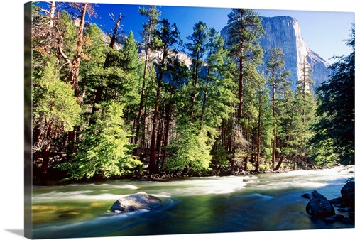 Merced River | Great Big Canvas