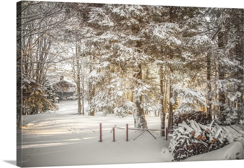 Mother Nature | Great Big Canvas