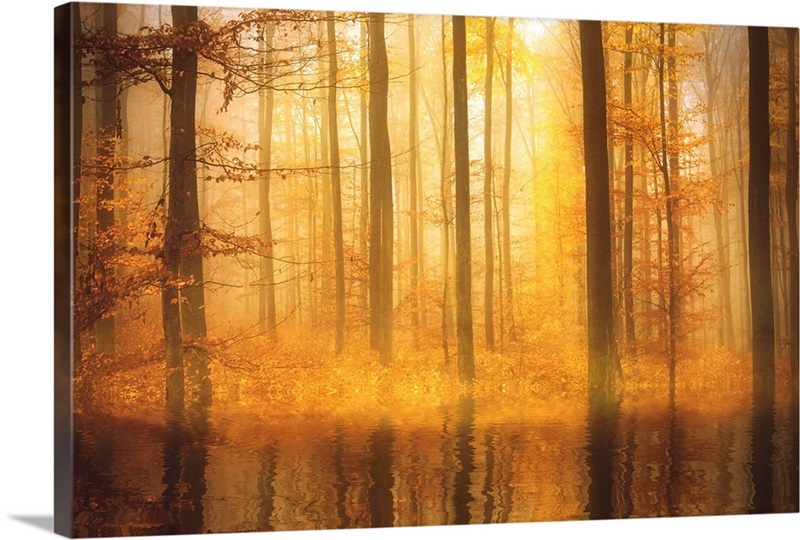 Nature is Magic | Great Big Canvas