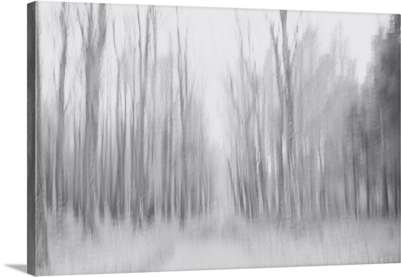 On A Gray Winter Day | Great Big Canvas