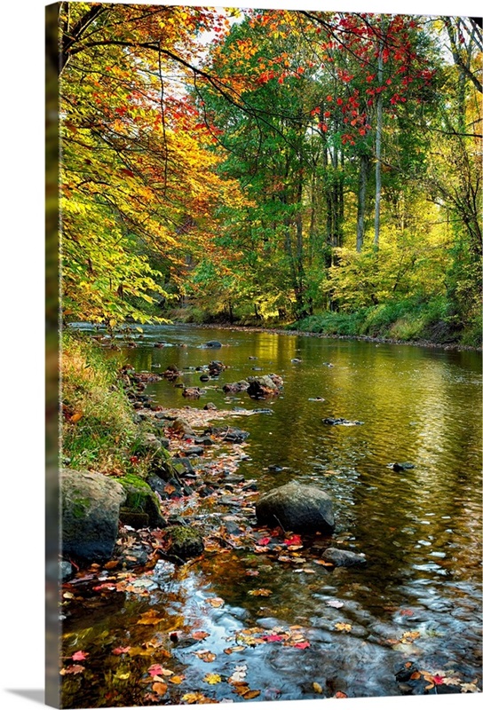 Peaceful | Great Big Canvas