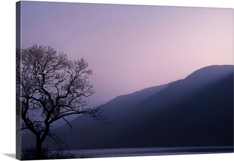 Purple Hours | Great Big Canvas