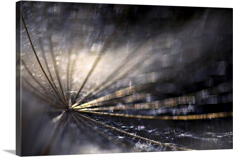 Quiver | Great Big Canvas