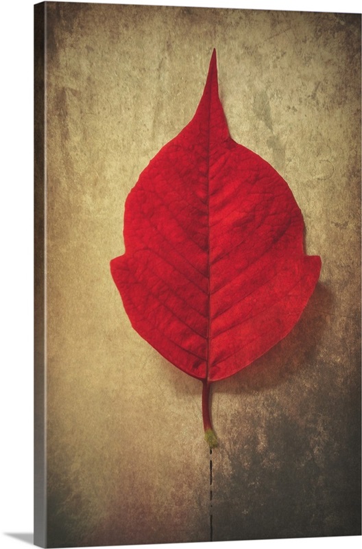Red Flame Wall Art, Canvas Prints, Framed Prints, Wall Peels | Great ...