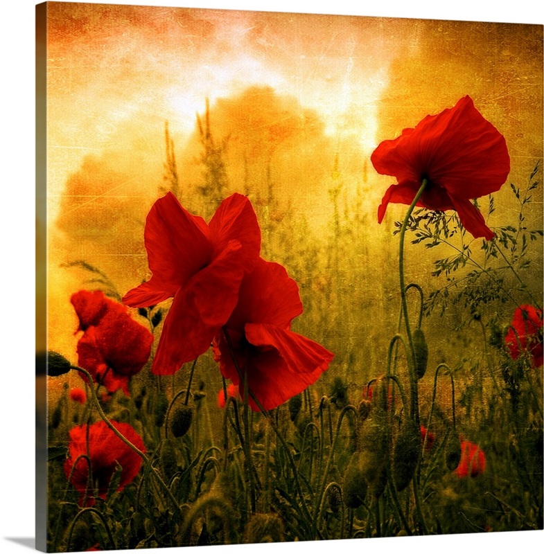 Red for Love | Great Big Canvas