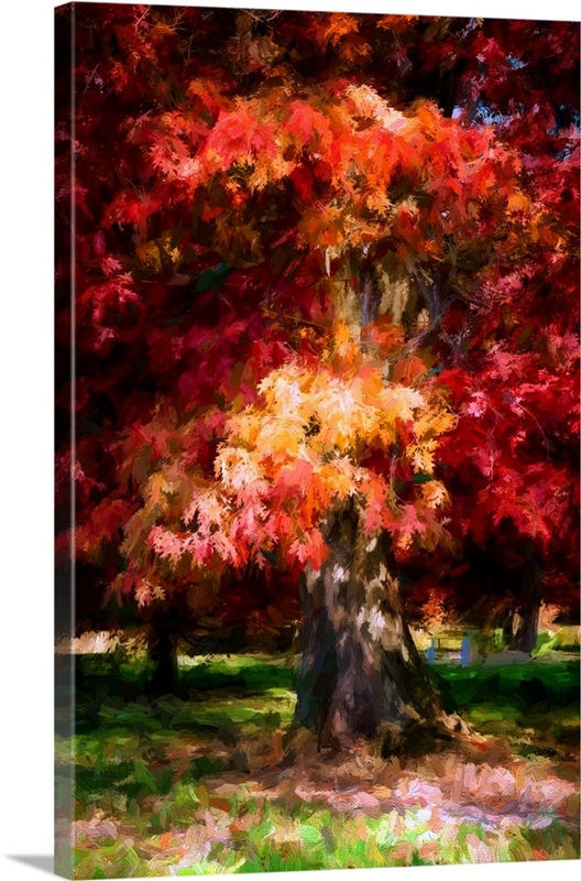 Red Oak | Great Big Canvas