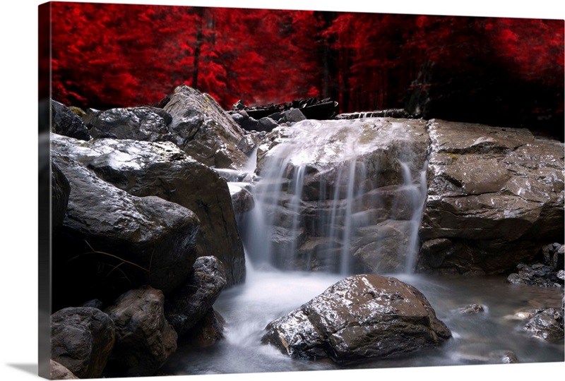 Red Vision | Great Big Canvas