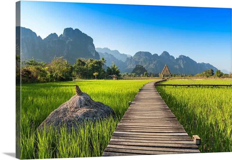 Rice Field Of Laos | Great Big Canvas