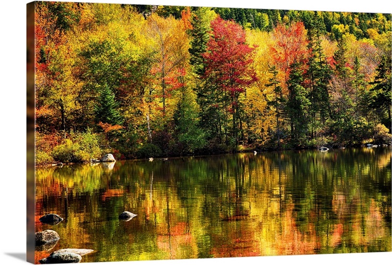 Riot of Color | Great Big Canvas