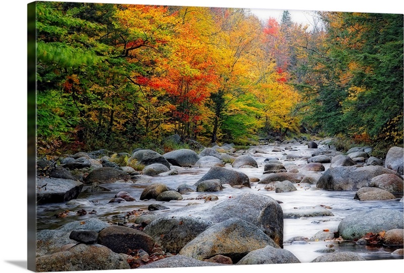 Rock Skipping | Great Big Canvas