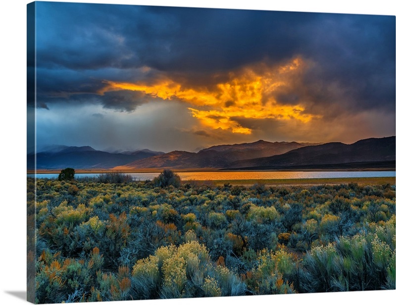 Sierra Scene | Great Big Canvas