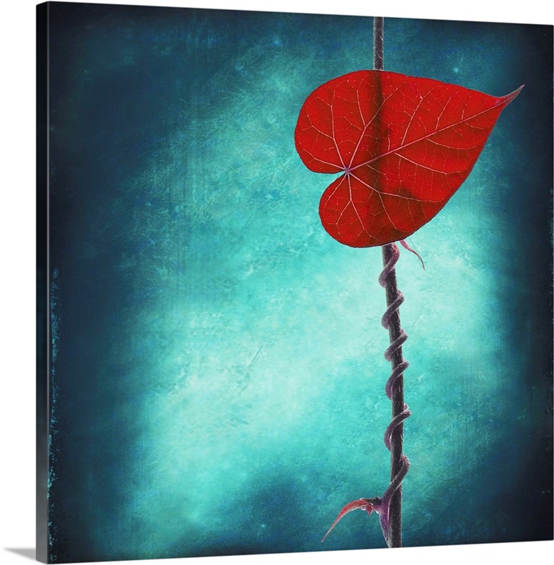 Signature | Great Big Canvas