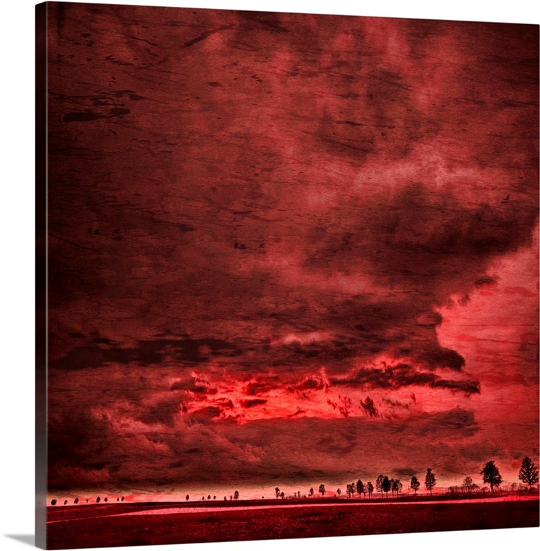 Sky Is Crying | Great Big Canvas