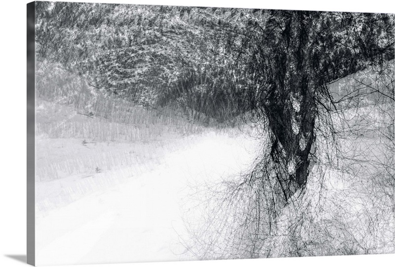Snow Dancer | Great Big Canvas