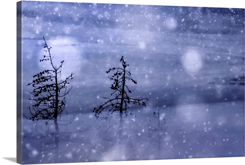 Snow Storm | Great Big Canvas