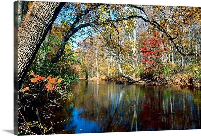 Solitude | Great Big Canvas