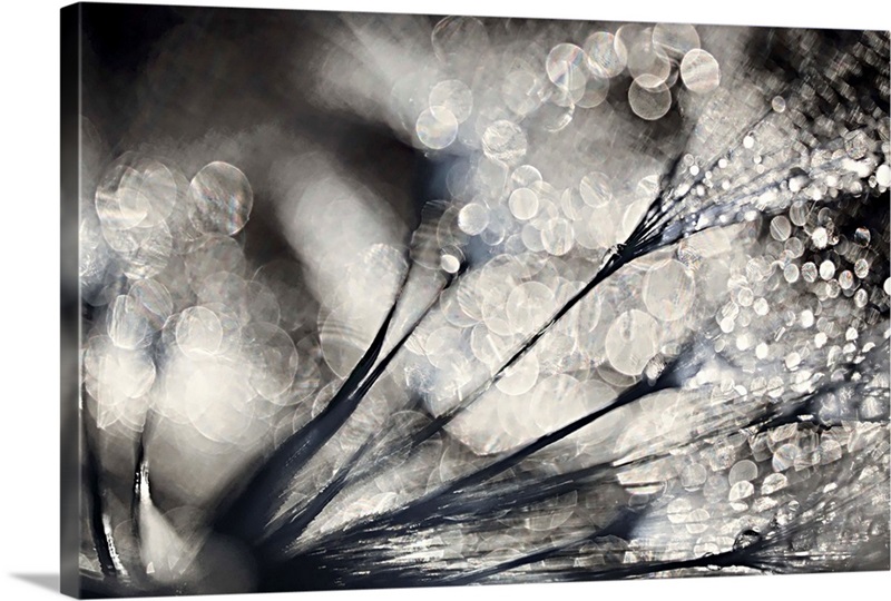 Sparklers | Great Big Canvas