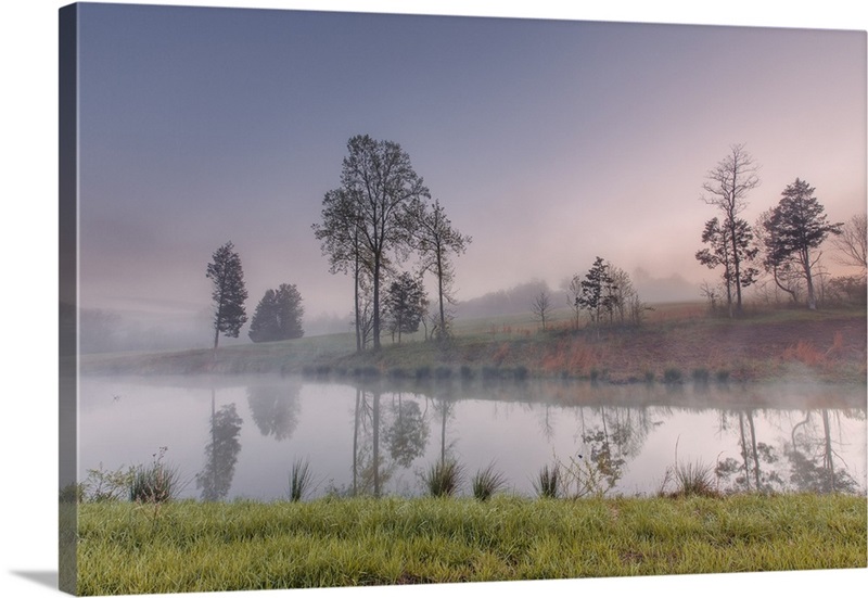 Spring Fog | Great Big Canvas