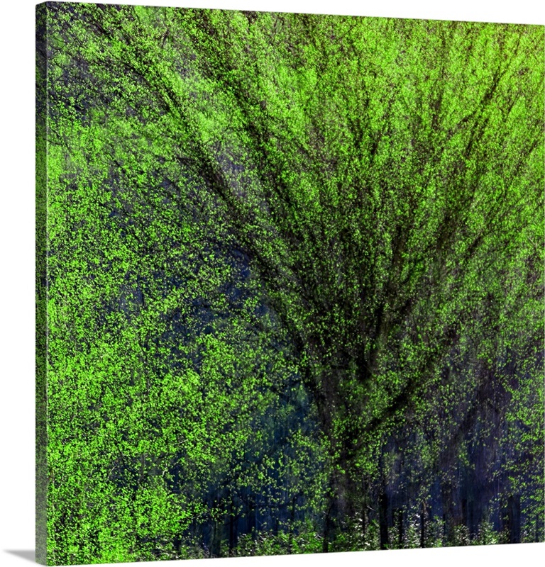 Spring Green | Great Big Canvas