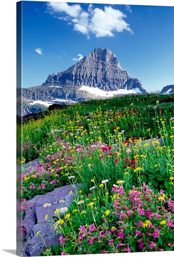 Spring has Sprung | Great Big Canvas