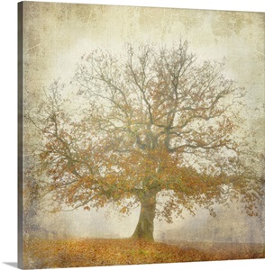 Textured Tree Wall Art, Canvas Prints, Framed Prints, Wall Peels ...