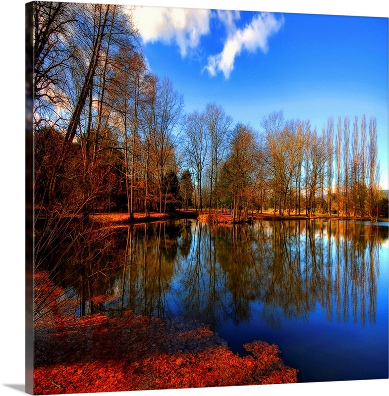 The Autumn In Winter | Great Big Canvas