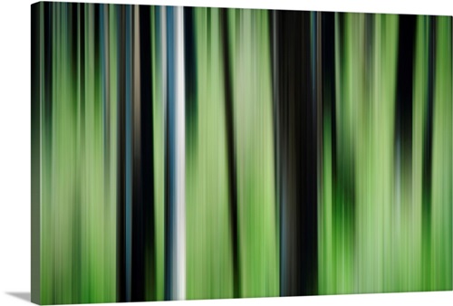 The Burn in Spring | Great Big Canvas