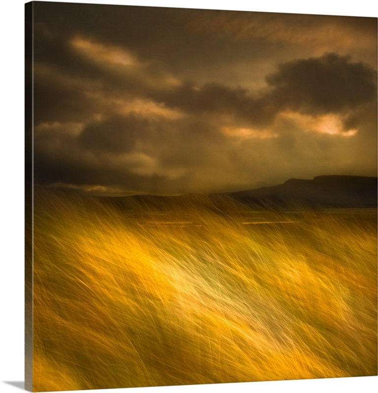 The Land I Love | Great Big Canvas