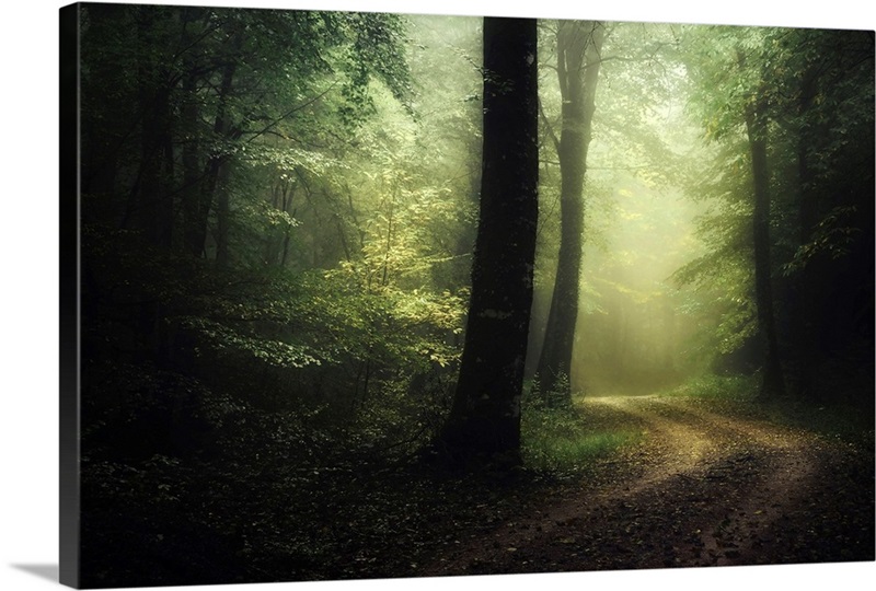 The Sacred Path | Great Big Canvas