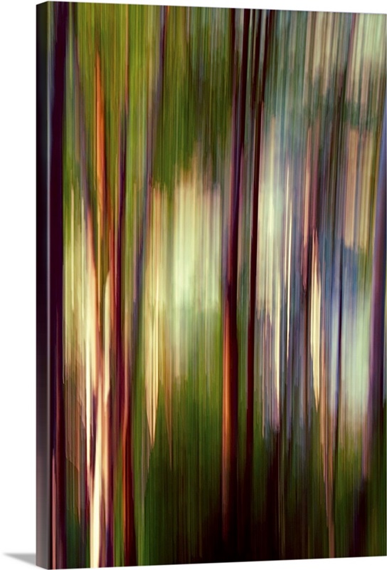 Trees | Great Big Canvas