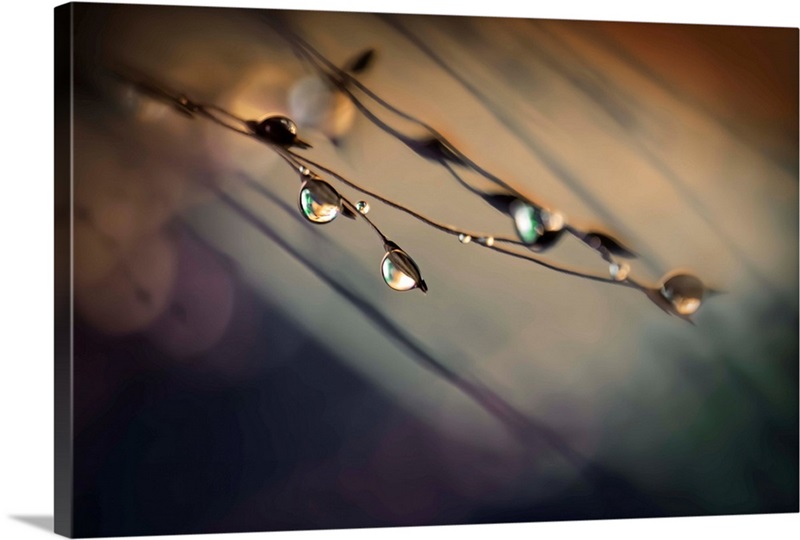 Two Droplets | Great Big Canvas