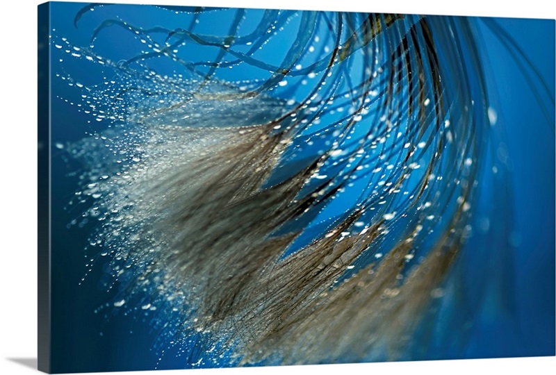 Water Dance | Great Big Canvas