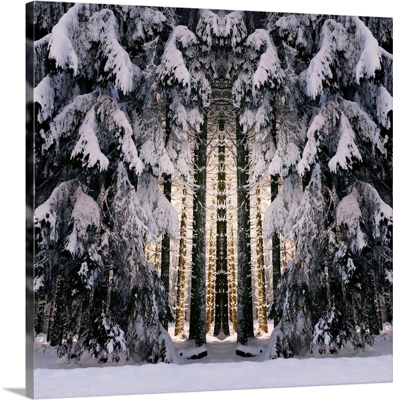 Welcome To The Dawn | Great Big Canvas